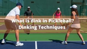 What Is Dink in Pickleball & Pickleball Dinking Technique - Pickleballsinfo